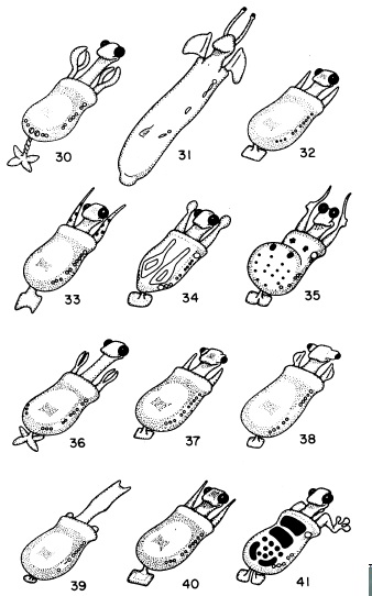 The history of the Caminalcules: the scientific imaginary creatures (I ...